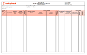 Failure Mode and Effects Analysis (FMEA)