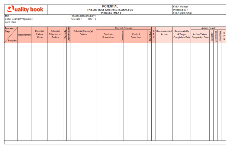 Failure Mode and Effects Analysis (FMEA)