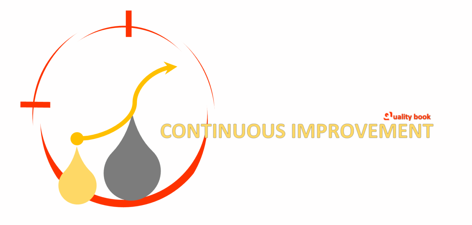 Continuous Improvement Model